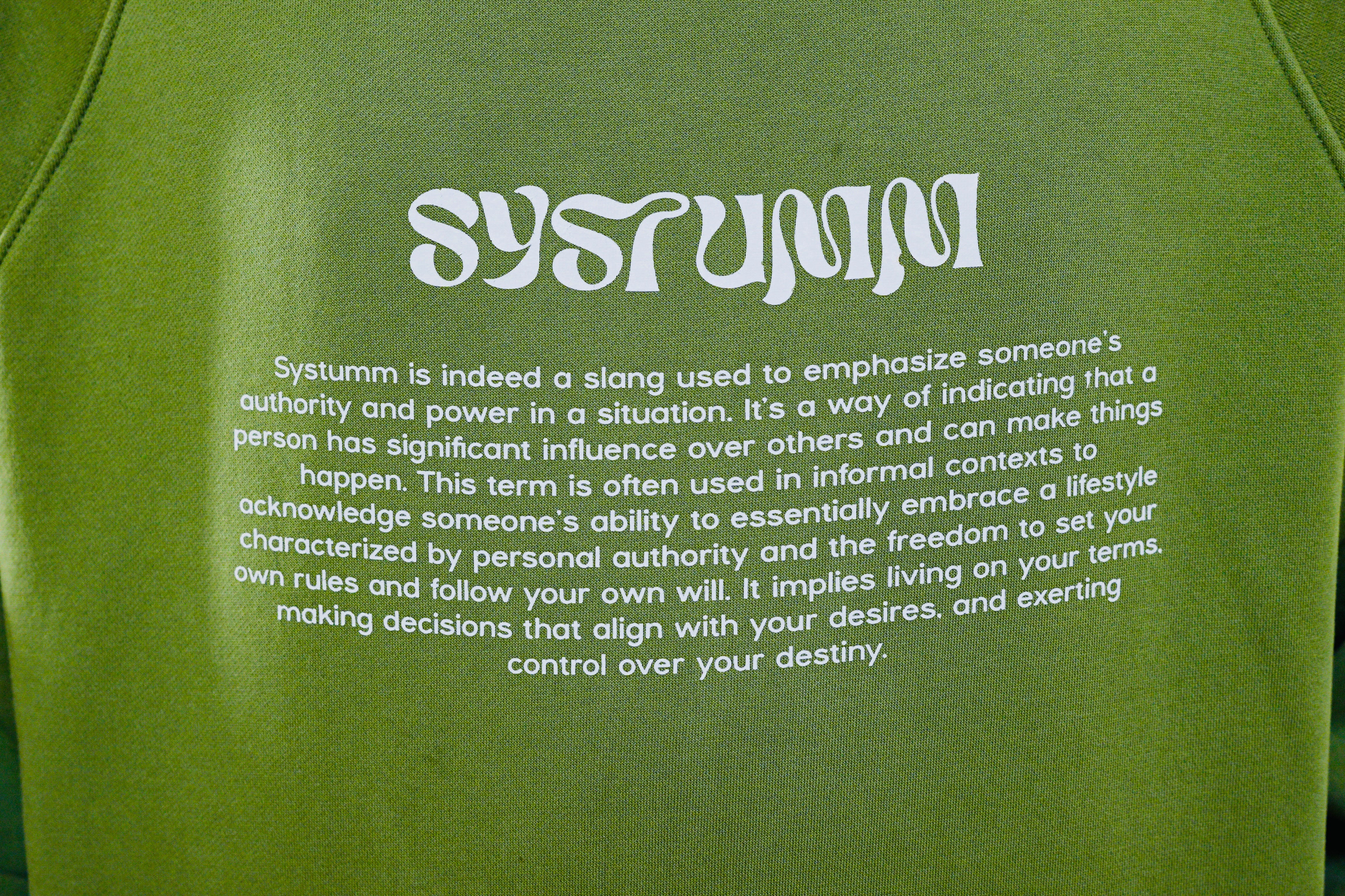 SYSTUMM GROUND STATE HOODIE – Systumm Clothing